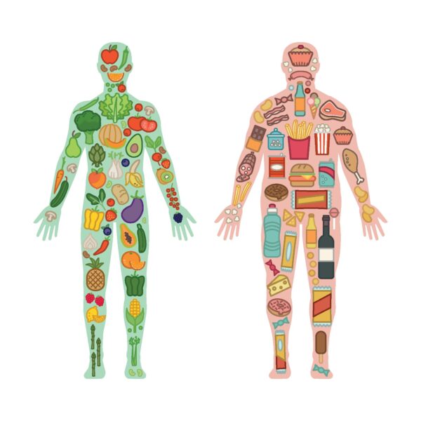 The Ultimate Guide to a Proper Diet: To Power-Up Your Body: ⚡in to an ...